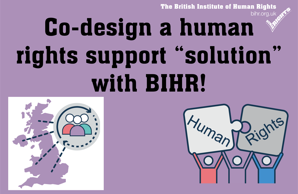 Co-design a human rights “solution” with British Institute for Human ...